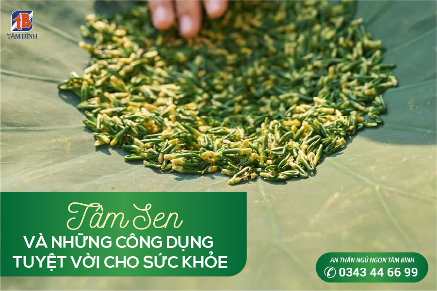 Tâm sen trị mất ngủ và những công dụng tuyệt vời khác