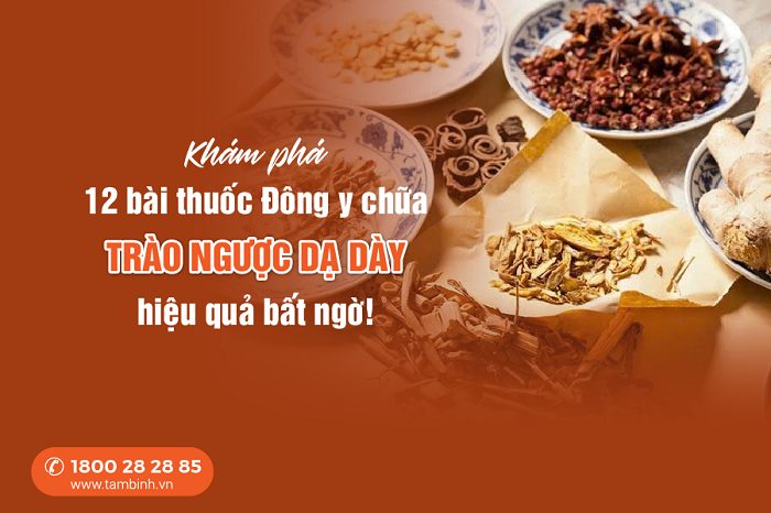 Khám phá 12 bài thuốc đông y chữa trào ngược dạ dày hiệu quả bất ngờ!